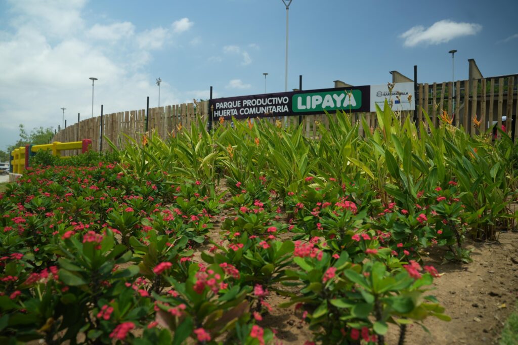 Nueva huerta comunitaria en Lipaya beneficiará a más de 2.100 familias ...